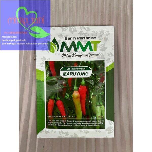 Benih Cabai Rawit Unggul MARUYUNG isi 10gram dari MMT | Lazada Indonesia