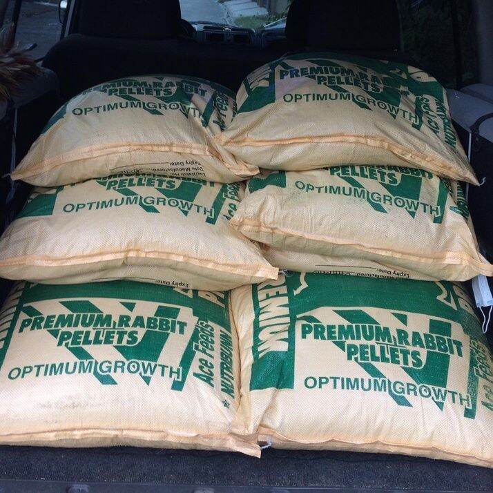 25KG NUTRIBUNN PREMIUM (Grower) Rabbit PELLET Rabbit FOOD | Lazada PH