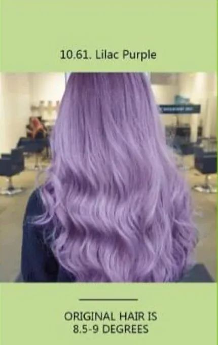 Bremod Hair Color 10.61-Lilac Purple with Oxidiser | Lazada PH