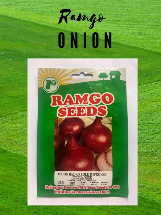 Ramgo ONION RED CREOLE IMPROVED Seeds | Lazada PH