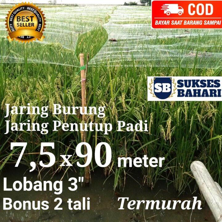 jaring padi 015 3 in 100x100 bonus tali untuk pengaman padi Di sawah ...