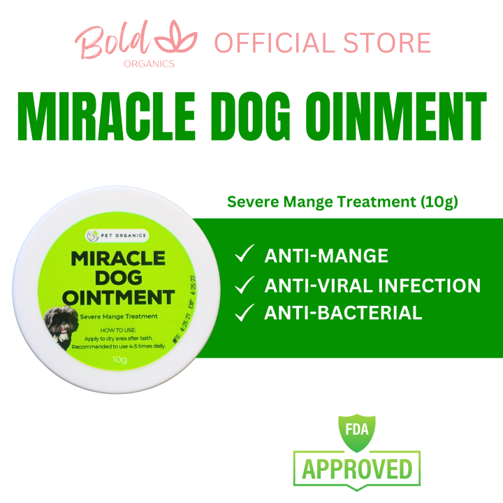 BOLD ORGANICS MIRACLE DOG OINTMENT 10g| Severe Mange Treatment| Anti ...