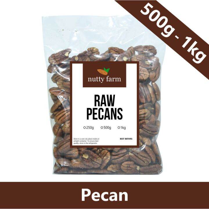 hot Raw Pecan Nuts (500g - 1kg) by Nutty Farm | Lazada PH