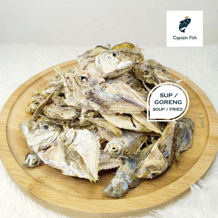 🔥[BORONG] 🔥Ikan Kekek | Lazada