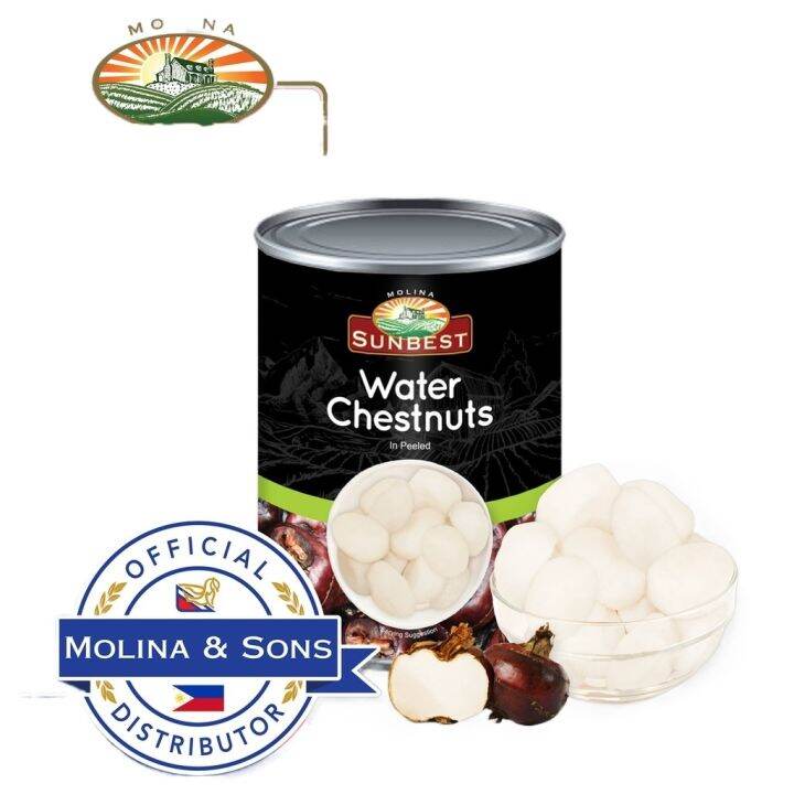 Sunbest Water Chestnuts 567g | Lazada PH