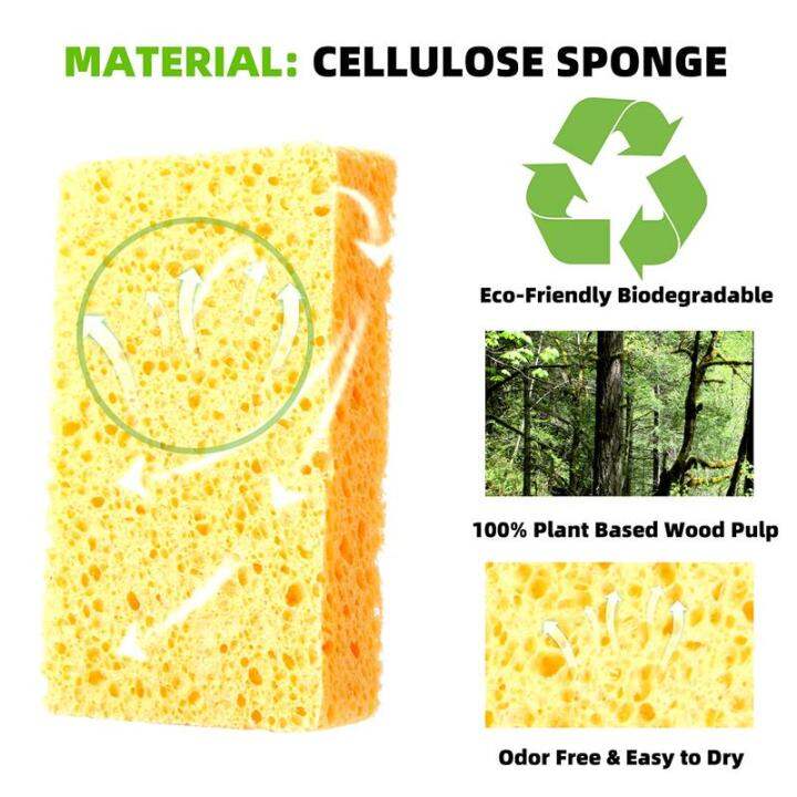5PCs Natural Cellulose Sponges, Wood Pulp Sponges for Kitchen Bath and ...