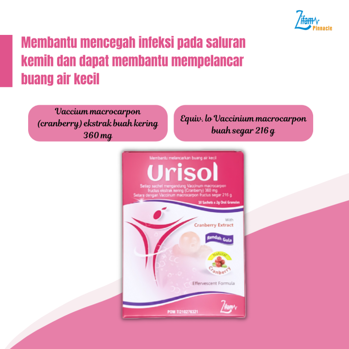 Obat Infeksi Saluran Kemih ISK URISOL Zifam Pinnacle Australia Untuk Wanita isi 10 Sachet Halal ...
