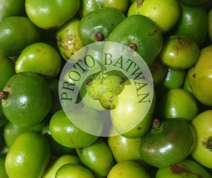 BATWAN/BATUAN FRUIT | Lazada PH