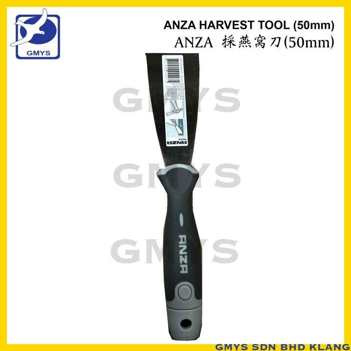 ANZA SCRAPER 50mm wide （採燕窝刀） | Lazada