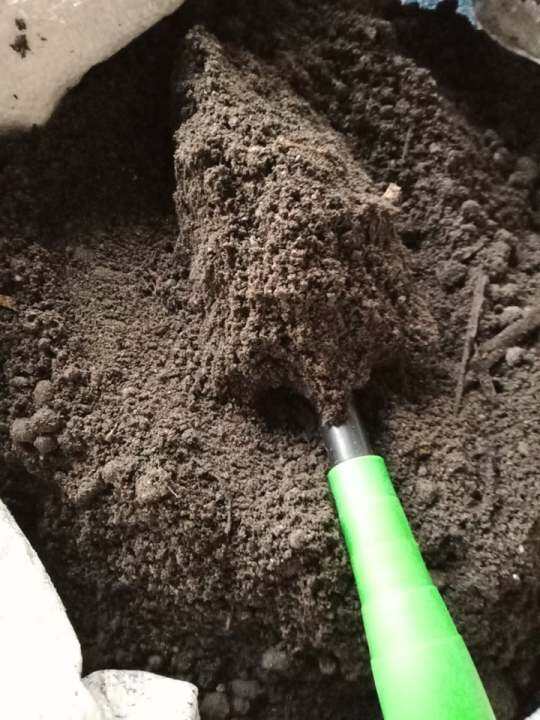 1KG COW MANURE COMPOST BAJA TAHI LEMBU ORGANIK | Lazada