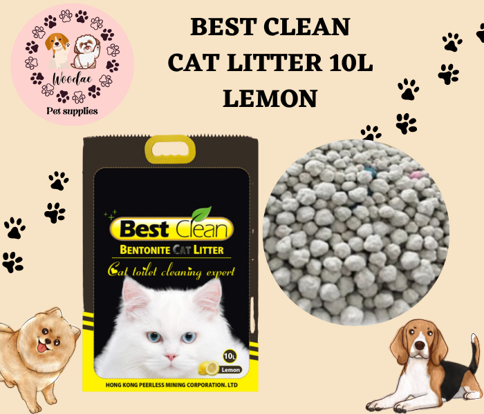 Best Clean Bentonite Cat Litter 10 Liters | Lazada PH