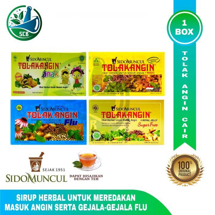 Tolak Angin 1 Box - Obat Masuk Angin dan Flu All Varian | Lazada Indonesia