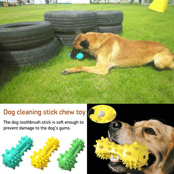 Kangdo Dog toy molar stick | Lazada PH
