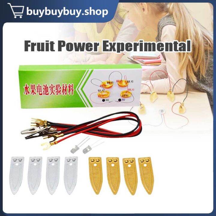 Primary School Experimental Fruit Electrode Material Cola Fruit Battery ...