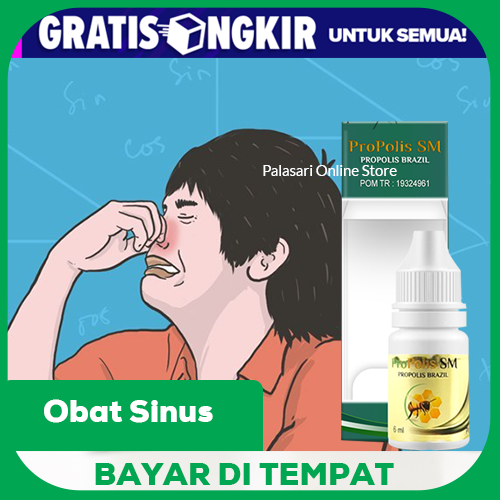 Obat sinus - pilek menahun - sinusitis - hidung tersumbat 100% Asli ...