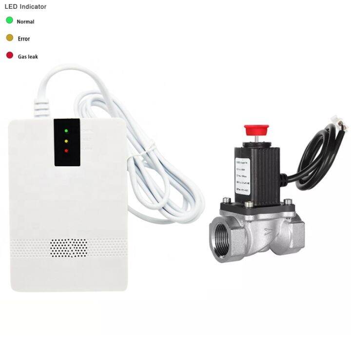 Standalone Flammable Natural Gas Sensor EU Plug Methane CH4 Combustible ...