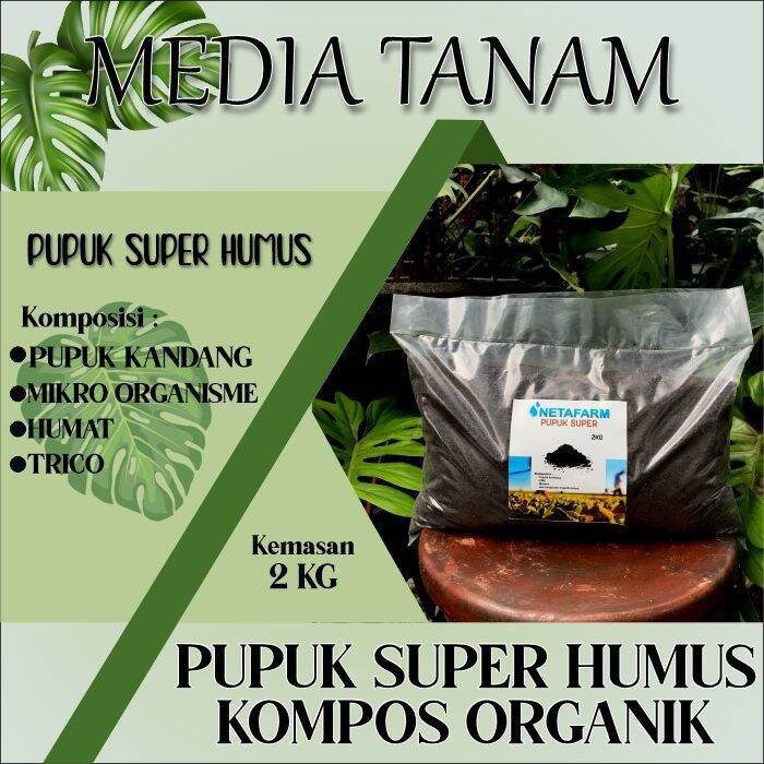 Pupuk Organik Premium Super Humus Kompos Fermentasi - 2 kg | Lazada ...