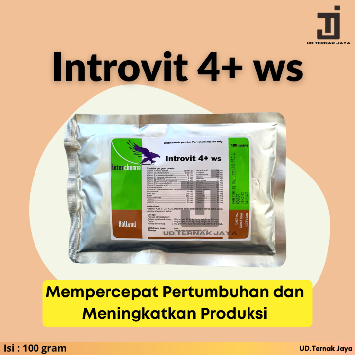 Introvit 4+ WS 100 gram Mempercepat Pertumbuhan dan Meningkatkan ...
