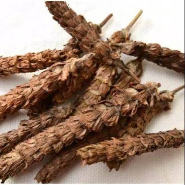 Xia gu cao xia ku cao he ko cao Spica prunellae 100 gram | Lazada Indonesia