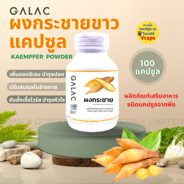 GALAC กระชาย กระชายขาว 100 แคปซูล ผงกระชาย 450 มก. | Lazada.co.th