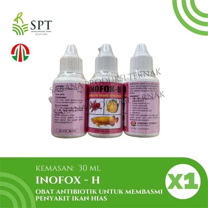 INOFLOX H 30 ml OBAT ANTIBIOTIK MEMBASMI PENYAKIT IKAN HIAS TAMASINDO ...