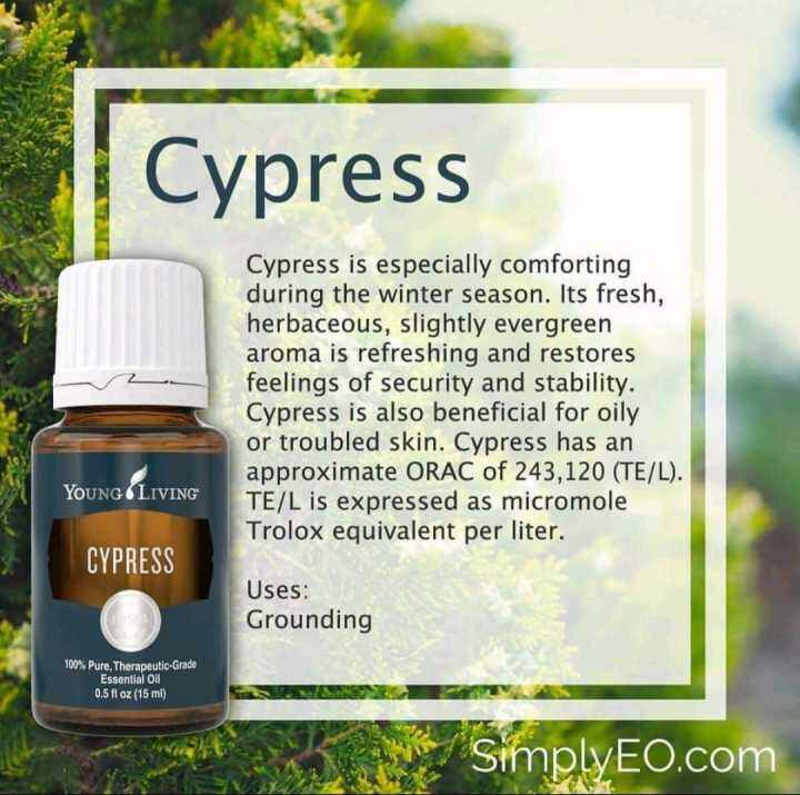 💯Original Young-Livings Cypress Essential Oil 15ml | Lazada