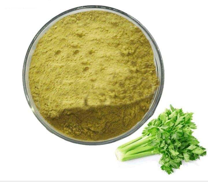 Celery Powder 250 grams | Lazada PH