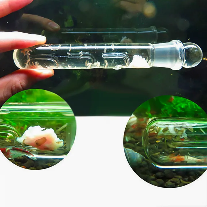 1pc 3-Hole Glass Pest Catcher Fish Tank Planaria Worm Trap Cleaner for ...