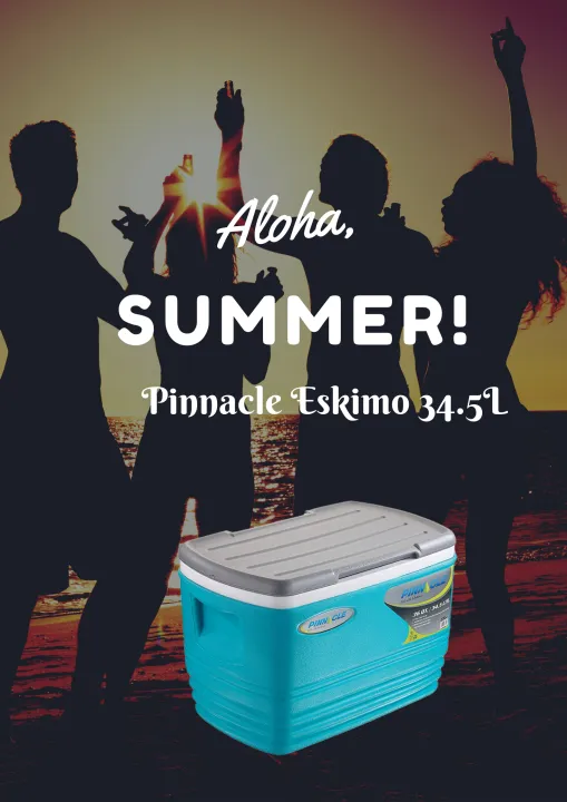 Pinnacle Eskimo 34.5 Liter Ice Cooler Box for Picnic/Camping/Beach ...