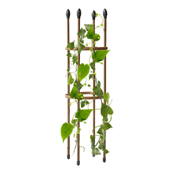 [wondering] Garden Climbing Vine Rack Plant Shelves Rose Trellis Potted ...