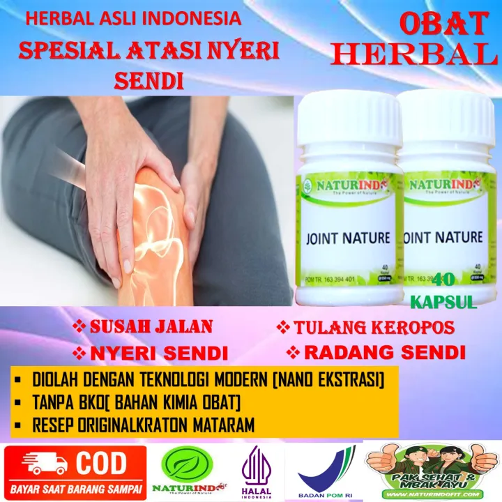 Obat Herbal Spesial Untuk Atasi Nyeri Sendi Tulang Keropos Radang Sendi ...
