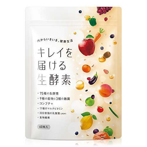 Japan Enzyme Kombucha Koji Enzyme 75 Kinds of Raw Enzyme Supplement ...