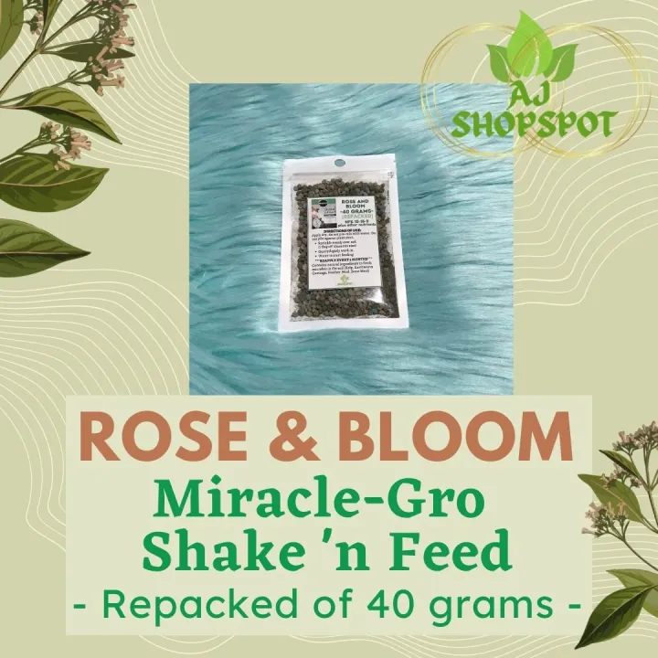Miracle-Gro Rose And Bloom Shake 'N Feed (40 grams) | Plant and Flower ...