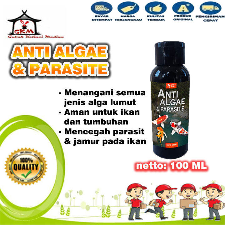 Anti Algae dan Parasit Obat Lumut Alga Remover Kolam dan Aquarium 100 ...