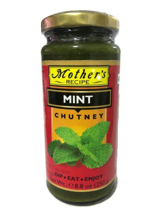 Mother's Recipe Mint Chutney - Ready To Eat - Dip Eat Enjoy From India ...