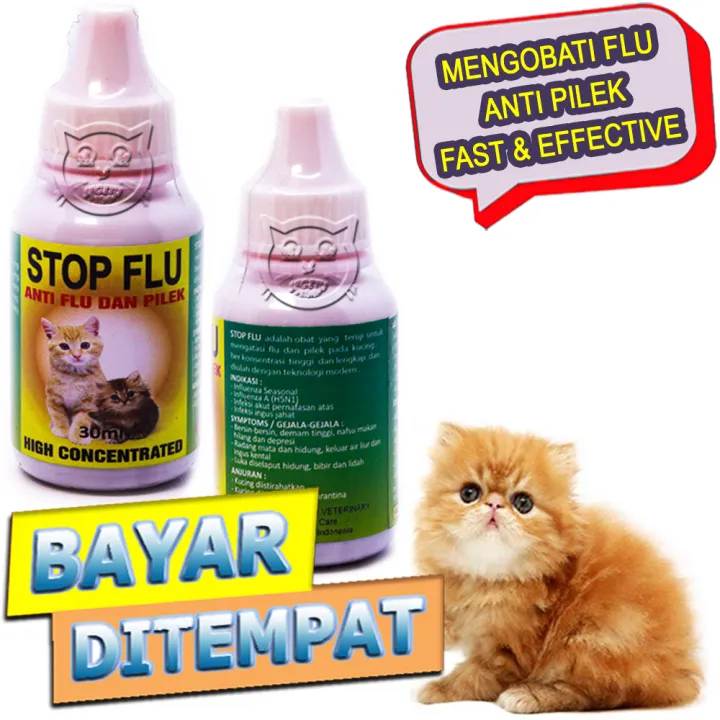 Stop Flu Obat Pilek Kucing High Concentrated | Lazada Indonesia