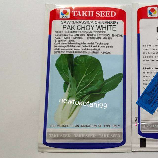 Benih PAK CHOY WHITE 20 ML pakcoy putih TAKII seed sawi pakchoy putih ...