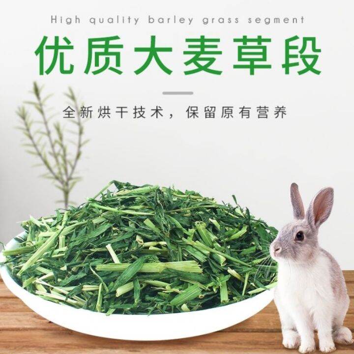 High Quality Barley Grass Segment Crispy Barley Chaff Grass high ...