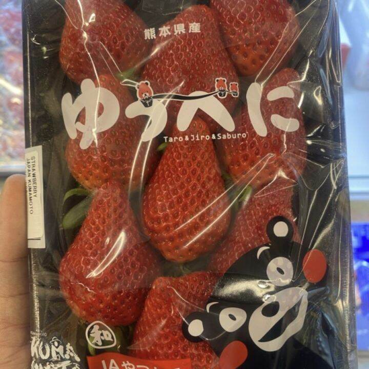 Stroberi Jepang | Strawberry Japan Merah Original kumamoto / pack ...
