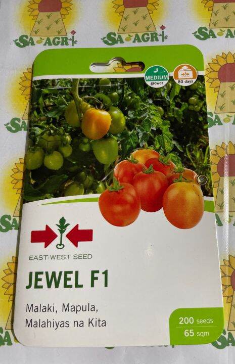 Jewel F1 Hybrid Tomato (200 seeds) by East West Seeds | Lazada PH