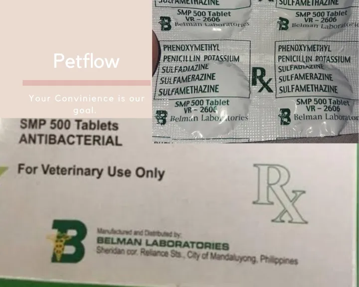 SMP500 anti bacterial 10 tablets | Lazada PH