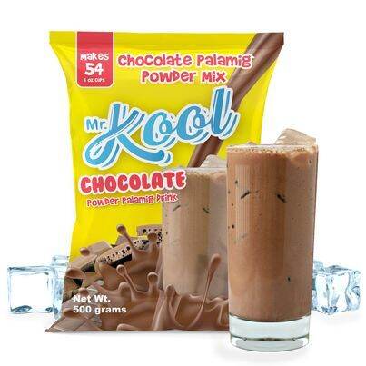 Mr. Kool Chocolate Powder Palamig Drink 500g | Lazada PH