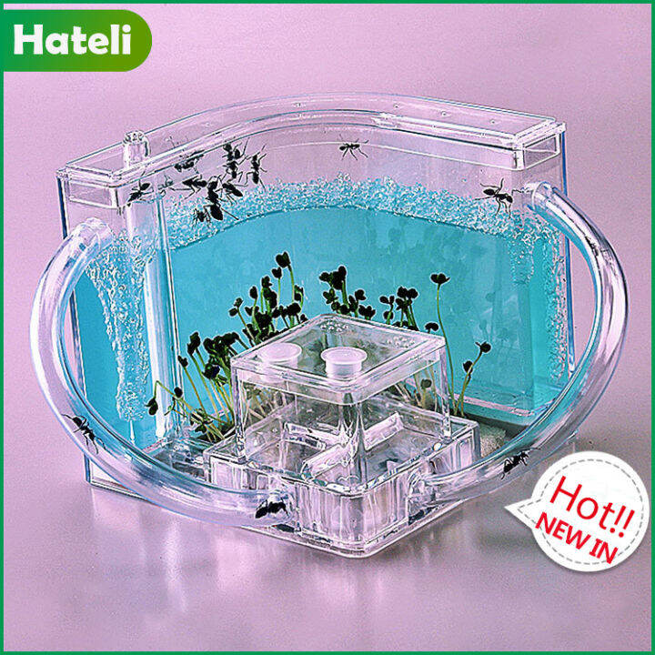 【HATELI】Pet House Ant Castle Ant Villa Home Castle Children's Educational Toys Children's Toys ...