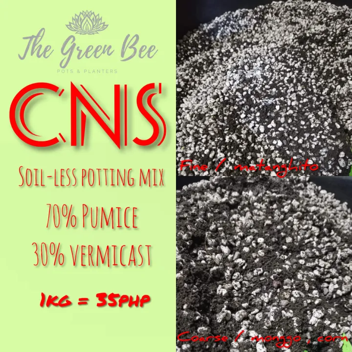 CNS Soil-Less Potting Mix / Soil-less Mix for Cactus and Succulent ...