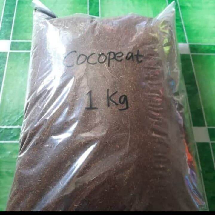 cocopeat /kokopit murni 1 kg - Sabut Serabut Kelapa Bubuk Murni Pupuk ...