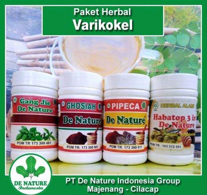 Obat Varikokel Obat Testis Buah Zakar Bengkak Herbal De Nature Asli ...