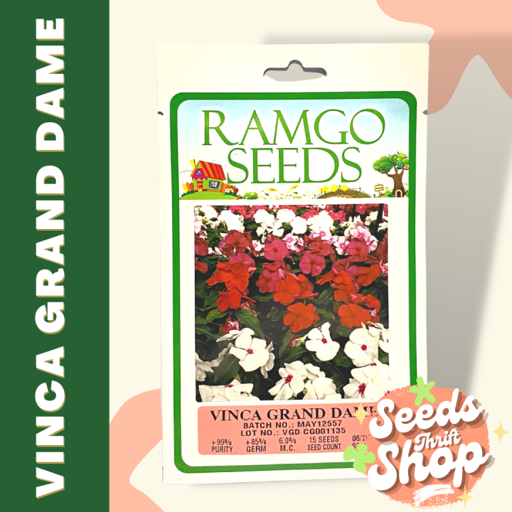 VINCA GRAND DAME-RAMGO SEEDS | Lazada PH