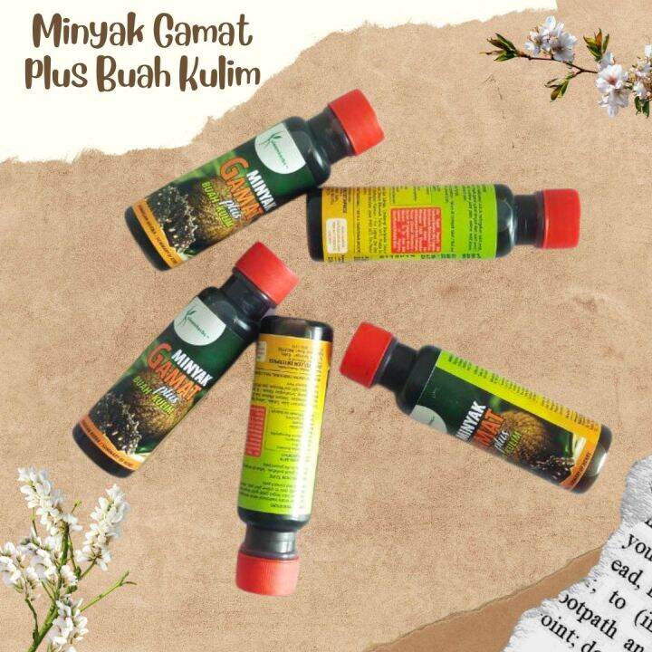 Minyak Gamat Plus Buah Kulim ( untuk kegunaan luar sahaja) | Lazada