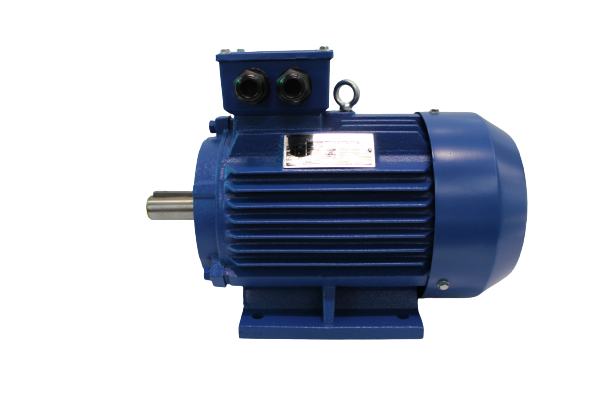 EleDelta Three Phase Induction Motor 0.55KW/0.75HP/415V/50Hz Foot ...