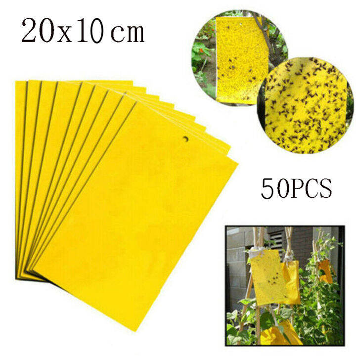 100pcs Yellow Sticky Glue paper Insect Trap Catcher Killer Fly Aphids ...